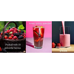 Organic Superfood Fruit Powder Smoothie & Juice mix - Antioxidants Rich Nutrients. Digestive Health, Weight Management, Immune Boosting, Energy boosting, Vitality, Vegan, Non- GMO, Gluten Free, Vegan.