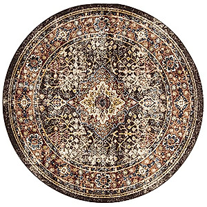 SAFAVIEH Bijar Collection 6'7" Round Brown / Rust BIJ652D Traditional Oriental Distressed Non-Shedding Dining Room Entryway Foyer Living Room Bedroom Area Rug