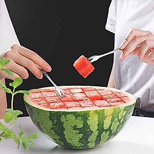 TBESTOACC Watermelon Slicer, 304 Stainless Steel Watermelon Cutter, Quickly Safe Cutter Slicer, Fruit Carving Tools for Kitchen