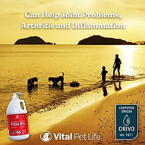 Fish Oil for Dogs, Salmon, Pollock, Omega 3 EPA DHA Liquid Food Supplement for Pets, All Natural, Supports Healthy Skin Coat & Joints, Natural Allergy & Inflammation Defense, 64 oz