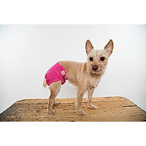 Simple Solution Washable Diaper Cover-Ups, Small, "Colors May Vary", Pink/Purple or Blue/Black, 2 Pack