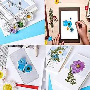 150 Pieces Real Dried Pressed Flowers for Craft Supplies & Materials,Dried Flowers for Resin Molds Silicone Kit Bundle,Scrapbook Supplies,Soap Making