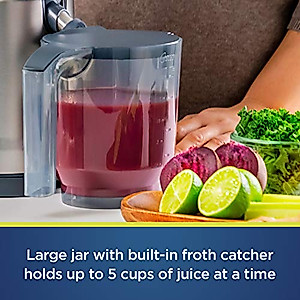 Oster Easy-to-Clean Professional Juicer, Stainless Steel Juice Extractor, Auto-Clean Technology, XL Capacity, Gray