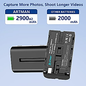 Artman NP-F550 Battery and Dual USB Charger for Sony NP F550, F570, F530, F330, F970, F960, F750, F770, CCD-SC55, TR516, TR716, TR818, TR910 (2-Pack 2900mAh)