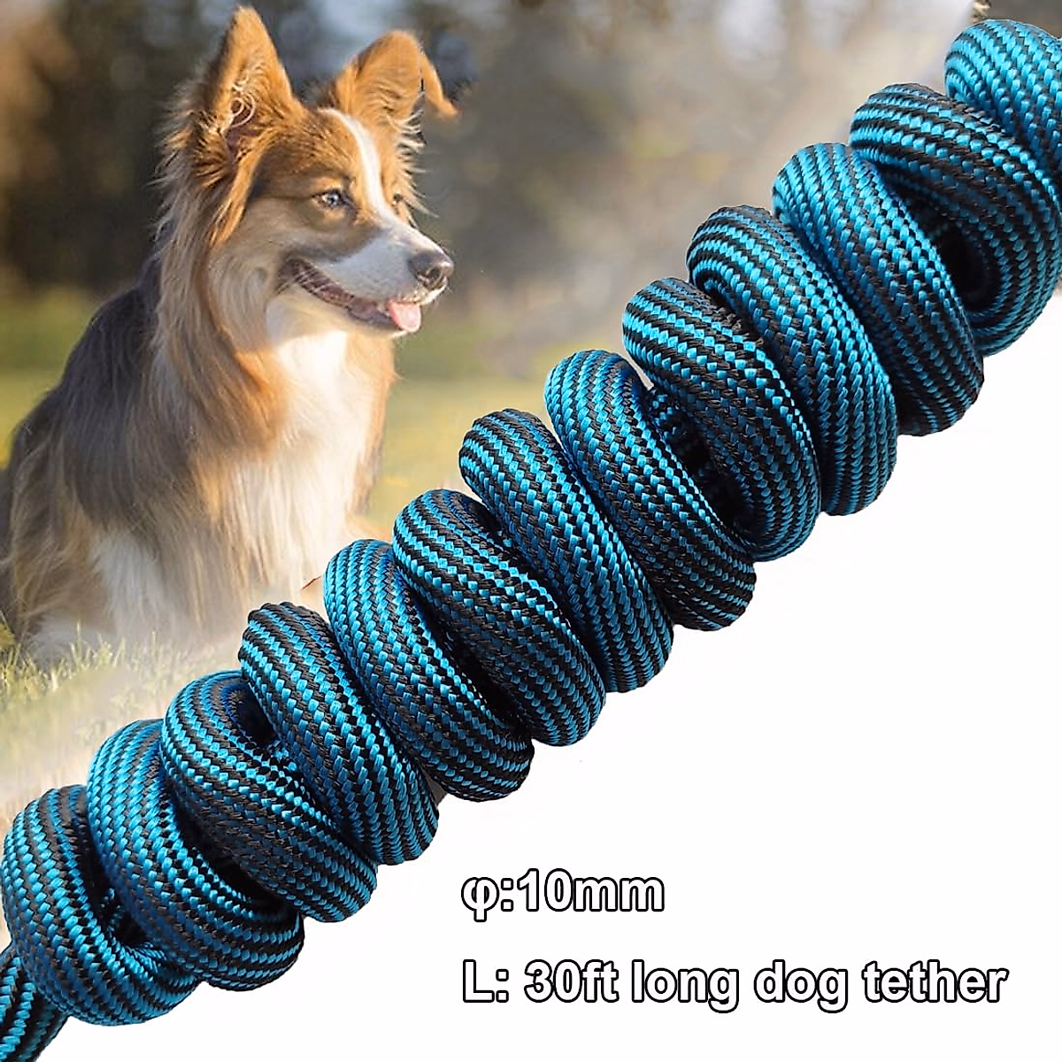 BTINESFUL Tie-Out Check Cord Long Rope Dog Leash, 12ft 20ft 30ft 50ft Recall Training Lead Leash- Great for Large Medium Small Dogs Training, Playing, Camping, or Backyard (30ft, Blue Black)