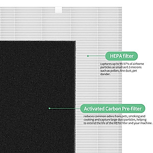 SAKEGDY 5 Packs C545 True HEPA Replacement Filter Set, Compatible with Winix C545 Purifier, Winix Filter S, Part# 1712-0096-00, 5 True HEPA + 5 Carbon Pre-filters