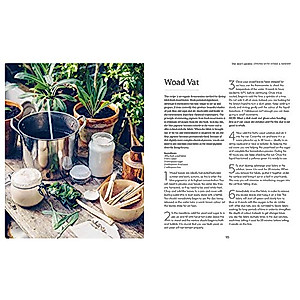 The Wild Dyer: A Maker's Guide to Natural Dyes with Projects to Create and Stitch