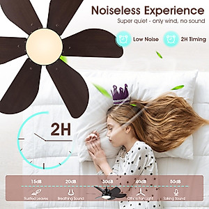 MADSHNE Ceiling Fans with Lights and Remote,36" Black Outdoor Ceiling Fans with 6 Reversible Wood Blades,Small Modern Ceiling Fans for Patio Kitchen Bedroom