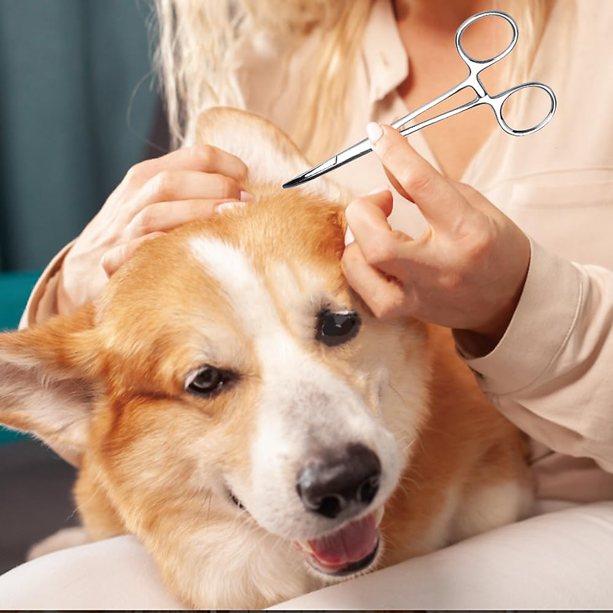 Lwuey Hemostat Forceps, Stainless Steel Pet Dog Grooming Ear Cleaning Clamp Pets Cat Ears Hairs Tweezers with Curved Tip Antislip Locking Forceps Remover Tools Supplies Trimmer Accessories(Large)