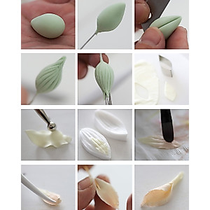 KALAIEN 6pcs/set Dahlia Sugar Flower Cutter Set Fondant Cake Sugarcraft Decorating Tools