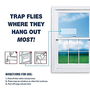 Catchmaster Fly Trap Bundle, Window Fly Traps 12-Pack & Fly Bag 4-Pack, Fruit Fly Traps for Indoors & Outdoors, for Garage, Backyard, Pool, Patio & Camping