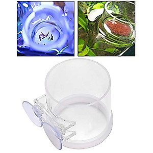 Fish Tank Suction Cup Feeder Acrylic Transparent Fish Ring Food Feeder Clear Fish Feeding Ring with Anti-Collision Strip for Aquarium Fish Tank