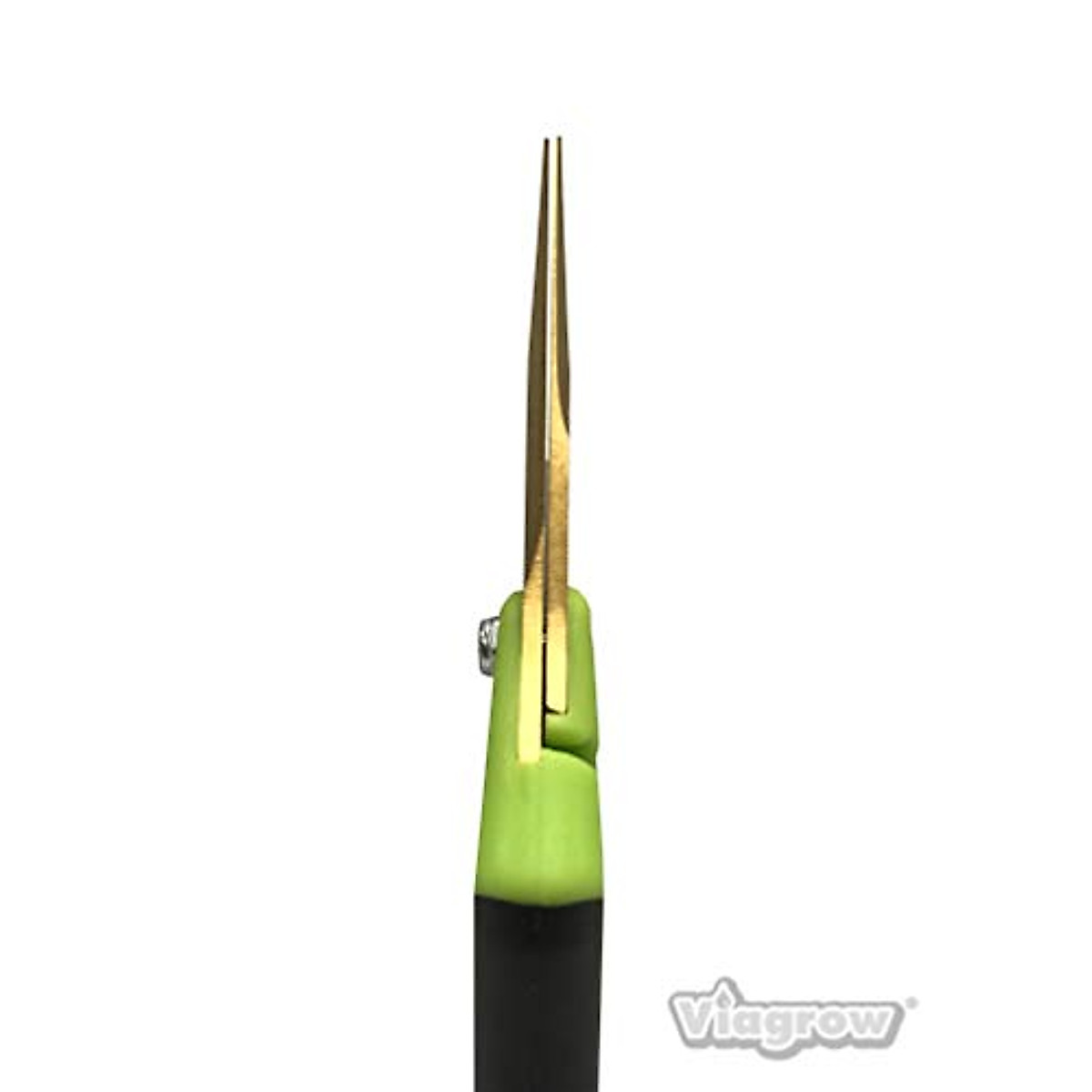 Viagrow Pruning Shear with Titanium Coated Straight Precision Blades, Hand Pruner for Gardening, Green, 3-Pack