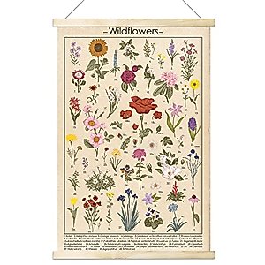 Vintage Wildflowers Poster Botanical Wall Art Prints Colorful Rustic Style of Floral Wall Hanging Illustrative Reference Flower Chart Poster for Living Room Office Classroom Bedroom Dining Room Decor
