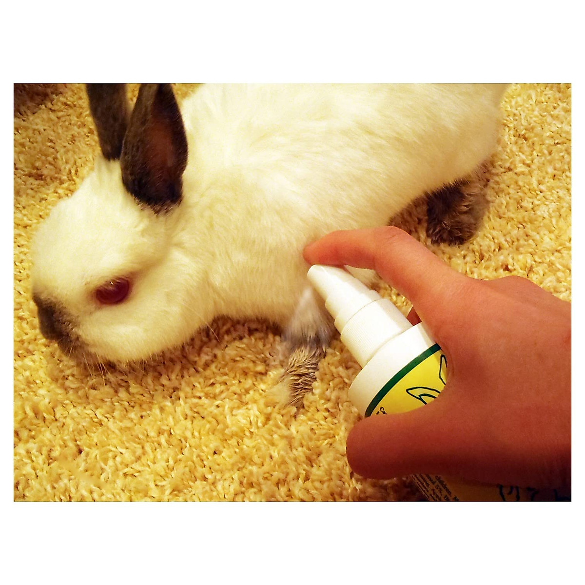 Grannick's Taste Deterrent for Dogs, 8 0z Pump Spray GB118AT