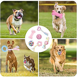 Bambinom Puppy Chew Toys, 6 Pack Puppy Teething Toys for Small Breed, Soft Rubber Cute Pink Dog Toys, Eco-Friendly, Teeth Cleaning Interactive for Small Dogs