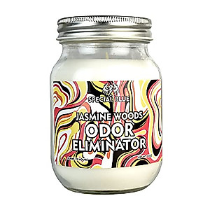Special Blue Odor Eliminator Candle - 13oz / Assorted (Jasmine Woods)
