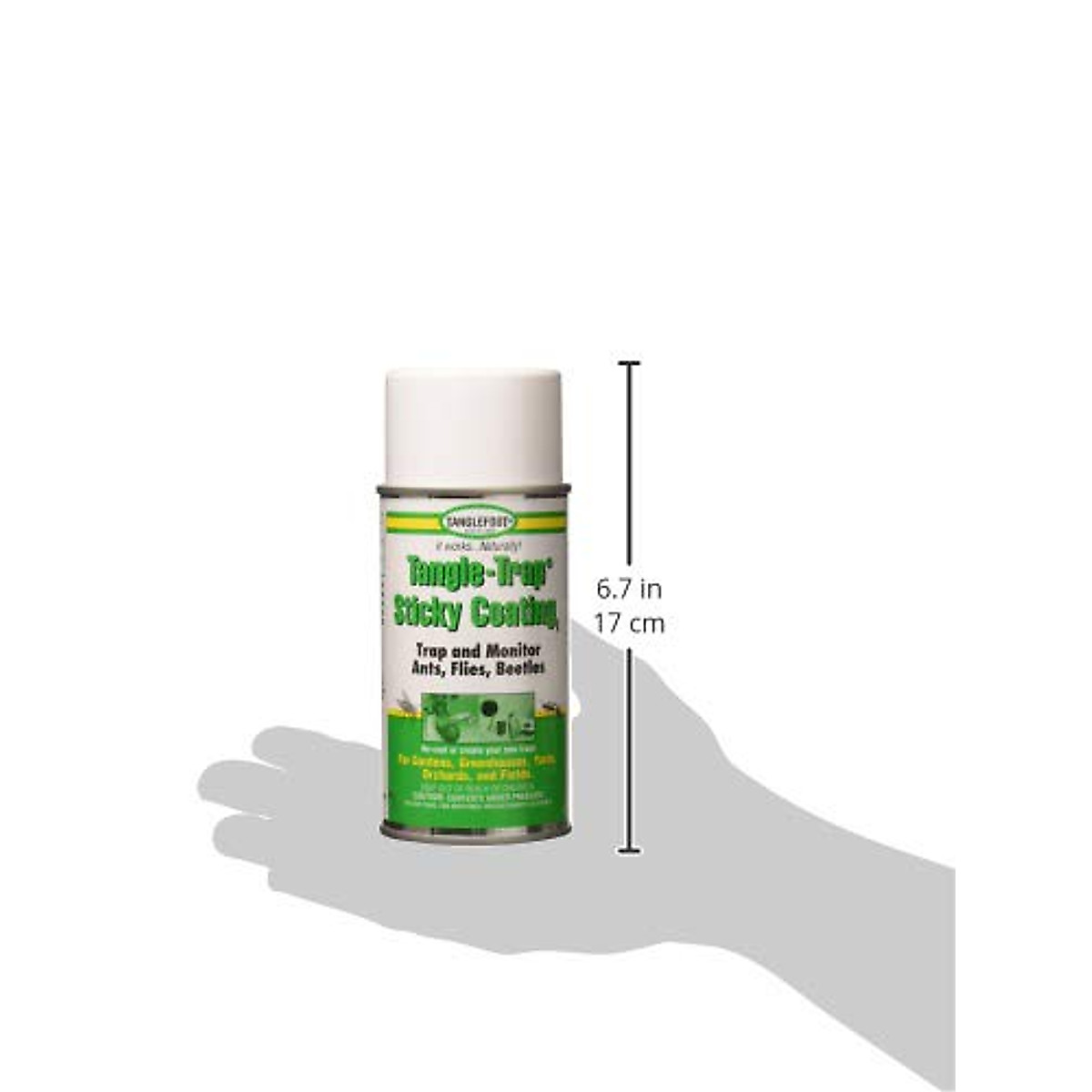 Tanglefoot Tangle-Trap Sticky Coating (Aerosol), 10 oz.