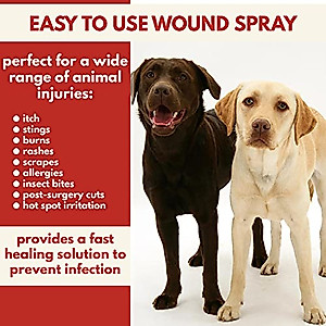 Ranch Remedy Topical First Aid Pain Relief Spray | Natural Wound Care for Infections, Itch, Warts, Rash, Hot Spot Treatment for Dogs, Cats & Farm Animals