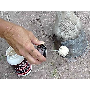 SAV-A-HOOF PROTECTANT by SBS Equine , Dual-Action Hoof Conditioner, Antiseptic Barrier Against Infection, Repels Moisture & Contaminates, 7.5 fl. oz.
