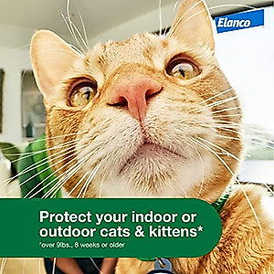 Advantage® XD NEW Flea Prevention & Treatment for Large Cats Over 9 lbs, 2 Topical Doses, 4-Month Coverage, Long Lasting