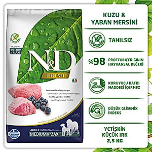 Lamb & Blueberry Adult Medium & Maxi