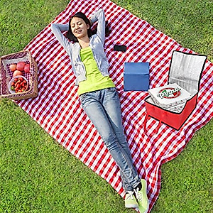 Luxshiny Food Insulation Delivery Bag Thermal Sea Food Pizza Bag Grocery Tote Insulation Bag Cooler Bag Large Capacity Reusable Warmer Bag for Restaurant Catering