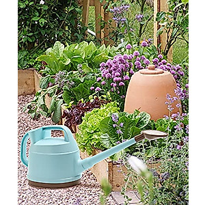 SAROSORA Outdoor Watering Can 0.9 Gallon Long Spout with Detachable Shower Head for Garden Flowers Plants (Blue, 3.3L/0.9GAL)