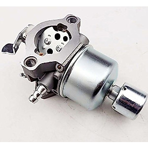 Goodfind68 New Carburetor compatible with Briggs & Stratton 791889 Replaces # 698782, 693194, 499151