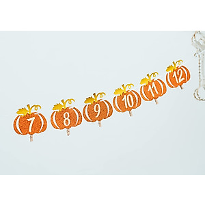 Pumpkin 1st Birthday Photo Banner Orange and Gold Glitter, Pumpkin Patch Baby Monthly New Born Garland 12 month Little Pumpkin First Themed Decorations Baby Thanksgiving Party Milestone Fall Photo