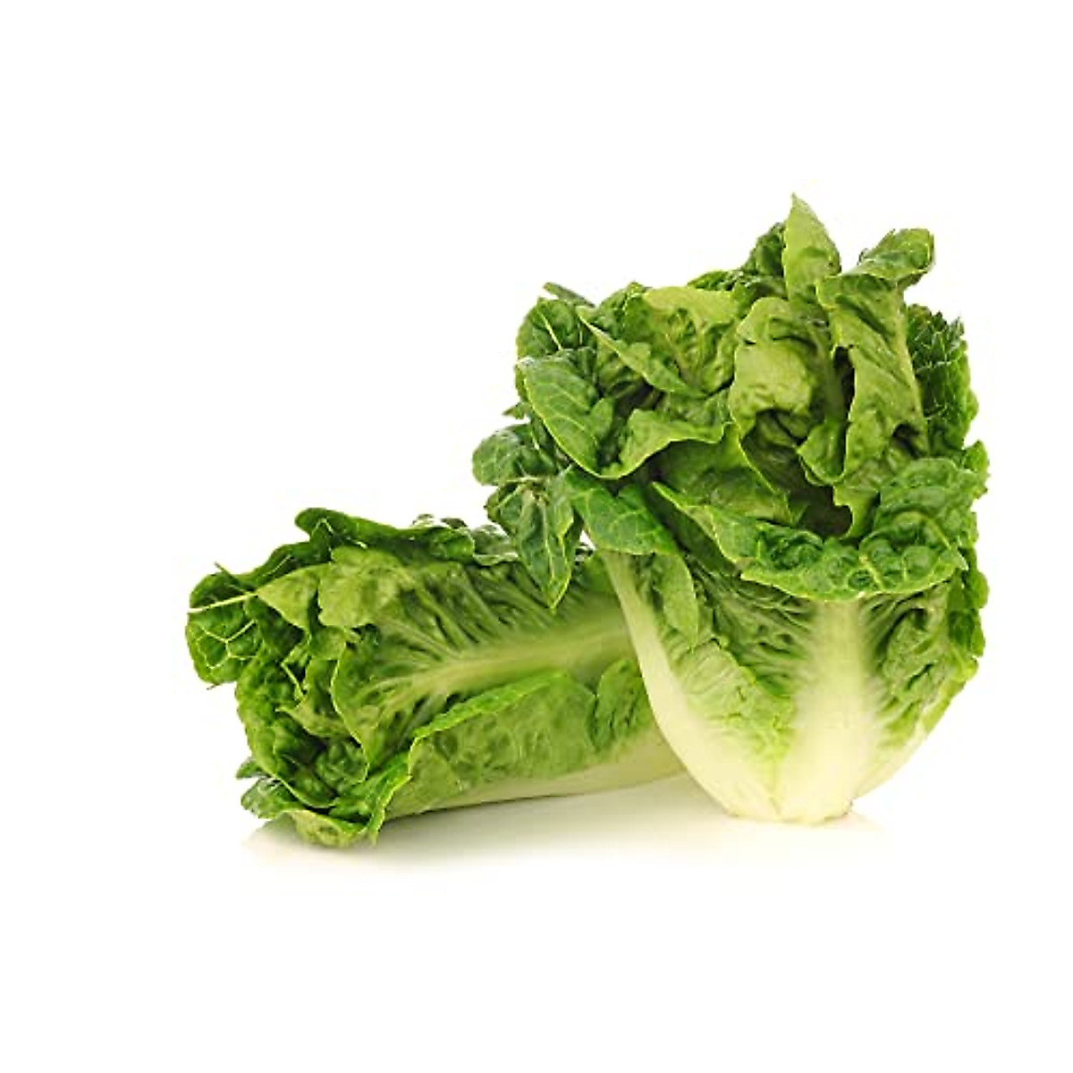 "Little Gem" Butterhead Lettuce Seeds for Planting, 1000+ Heirloom Seeds Per Packet, (Isla's Garden Seeds), Non GMO Seeds, Scientific Name: Lactuca Sativa, Great Home Garden Gift