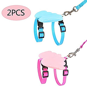 Filhome 2 Pack Adjustable Rabbit Bunny Harness and Leash Set with Wings, Vest Harness for Rabbit Ferret Bunny Kitten Guinea Pig Walking(XS/Blue and Pink)