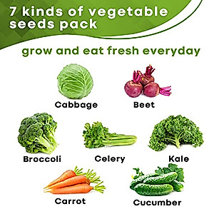 Heirloom Vegetable Seeds Variety 7 Pack — Includes Beet, Broccoli, Cabbage, Carrot, Celery, Cucumber and Kale — Vegetable Garden Starter Kit (7 Variety A)