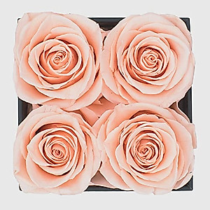 Chloe's Graceful Fleurs | Real Roses that Lasts for Years | Fresh Flowers for Delivery Birthday | Birthday Gifts for Women | Preserved Roses in a Box | Forever Rose Box | Mothers Day Gifts (Light Peach)