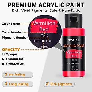 Acrylic Paint Set, 24 Colors (2 oz/Bottle) with 12 Art Brushes, Art Supplies for Painting Canvas, Wood, Ceramic & Fabric, Rich Pigments Lasting Quality for Beginners, Students & Professional Artist