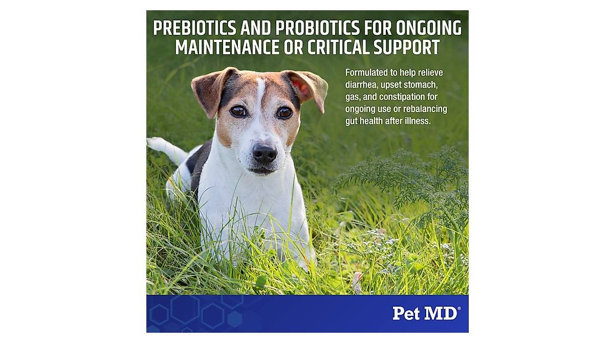 Pet MD Probiotics for Dogs & Cats - Digestive Health Relief