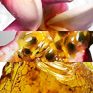 Cool Water Wave By Davidoff For Women. Eau De Toilette Spray 3.4-Ounces