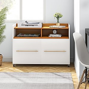 Tribesigns 2 Drawer File Cabinet Rolling Filing Cabinets for Home Office White lateral File Cabinet Wood File Cabinet for Letter Size, Printer Stand with Rolling Wheel and Open Storage Shelves