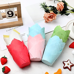 Gandeer 600 Pcs Baking Cups Tulip Cupcake Liners Wrappers Printed Muffin Holders Greaseproof for Holiday Wedding Birthday Party Baby Shower Christmas (Plain Style) Assorted,Blue,Green,Pink,Red,White