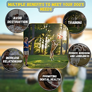 Playtime Palace, Premium Quality Plush Dog Toys Pack of 5 - Chewy and Squeaky Fun for All Breeds - Durable Teething Options for Puppies - Ideal for Small, Medium, and Large Dogs - Ultimate Value Pack