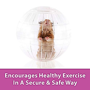Kaytee 7" Moon Glow Run-About Exercise Ball For Pet Hamsters & Gerbils