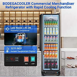 BODEGACOOLER Commercial Merchandiser Refrigerator,12.5 Cu.Ft Glass Door Display Refrigerator,Upright Commercial Beverage Display Cooler with Soft LED Light,Adjustable Shelves,Black