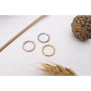 JINSAWW 16G Septum Hoop Segment Nose Rings Surgical Steel Helix Rook Conch Cartilage Nose Septum Seamless Hinged Clicker Ear Piercing Jewelry