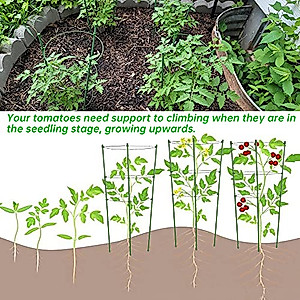 Tomato Cage Plant Support Cage for Garden 8 Pack, 18 Inch Tomato Trellis Garden Cages with 3 Adjustable Rings, Tomato Plant Stakes for Climbing Plants, Flowers, Fruit, Vegetables