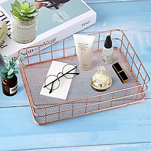 AESGXTU Rose Gold Metal Storage Basket Desktop Iron Grid Simple Snack Storage Tray for Home Decor＆Orderly Storage (Large)