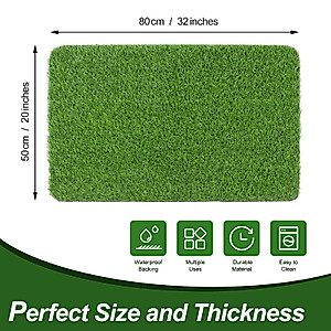 LINLA Artificial Grass Door Mat, 32x20 inches Outdoor Rug Synthetic Fake Dog Grass Mat Turf Waterproof Durable Doormat for Indoor Entryway, Outside Patio, Lawn, Garden
