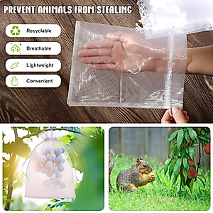 WenTao 50pcs Fruit Protection Bags 6x9 inch, White Mesh Drawstring Netting Cover Bags for Grapes, Mango, Fruit Trees, Vegetables - Pest Barrier and Fruit Protectors for Garden and Plant Fruit Flower