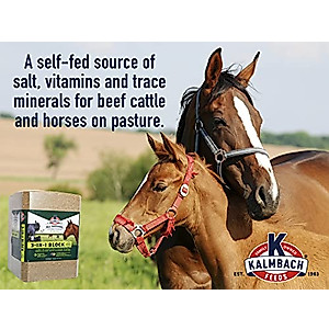 3 in 1 Block for Cattle and Horses, 40 lb