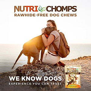 NutriChomps Dog Chews, 4-inch Knots, Easy to Digest, Rawhide-Free Dog Treats, 7 Count, Real Chicken