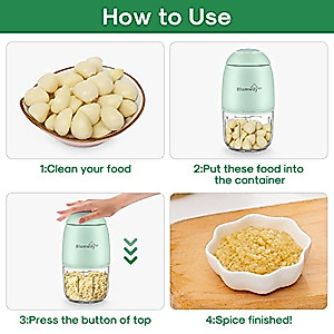 300ML Electric Mini Food Processor, 60W Cordless Food Press Garlic Chopper, Mini Blender For Garlic,Vegetable,Fruit,Onions,Chili,Meat,Salad,Baby Food, Glass Container (Green)